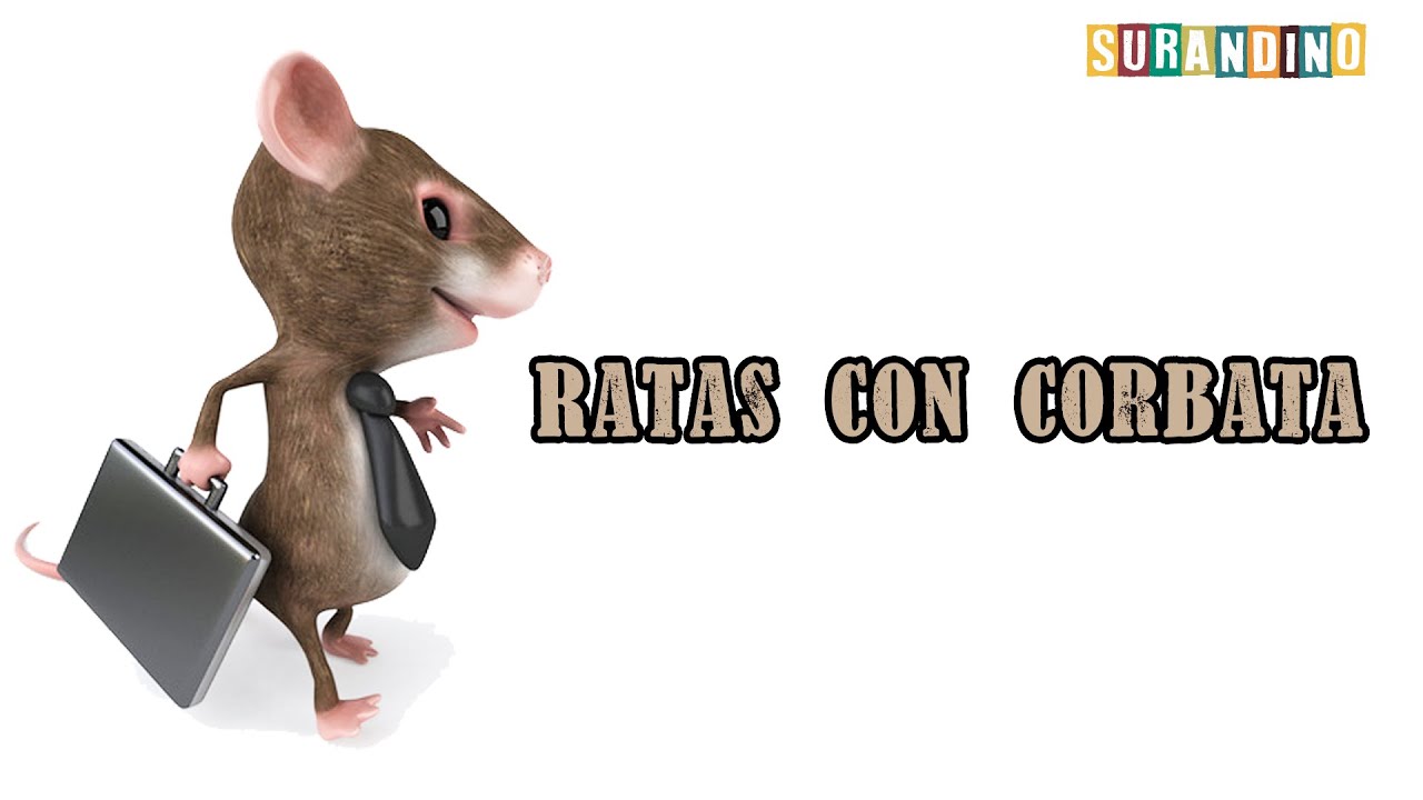 RATAS CON CORBATA / Surandino - YouTube