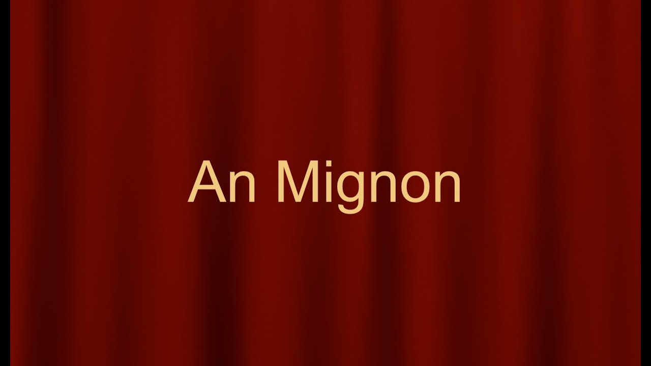 Johann Wolfgang von Goethe: "An Mignon" - YouTube