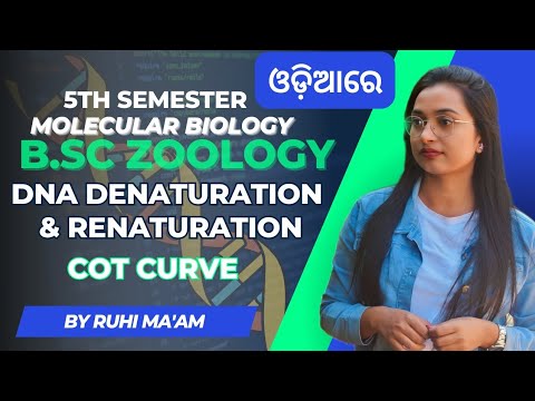 DNA denaturation and renaturation || cot curve || B.Sc Zoology ...