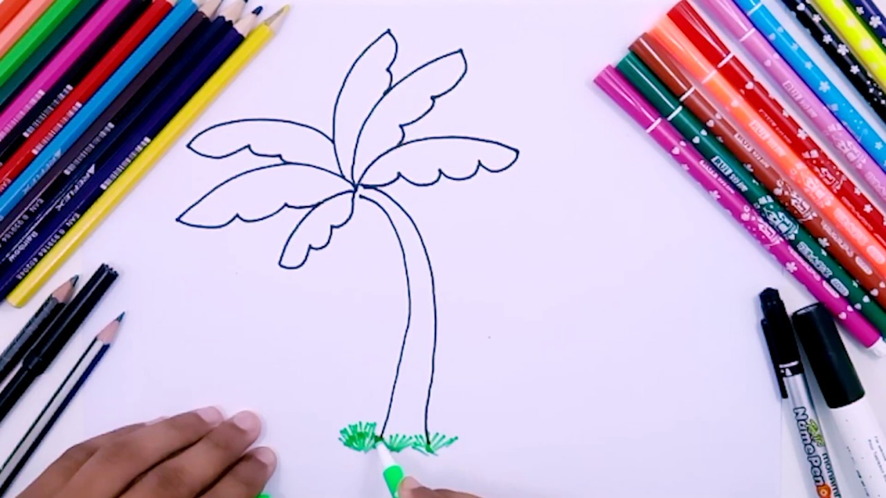 Palm Tree For Kids ★ How To Draw Palm Tree? Drawing For Kids - YouTube