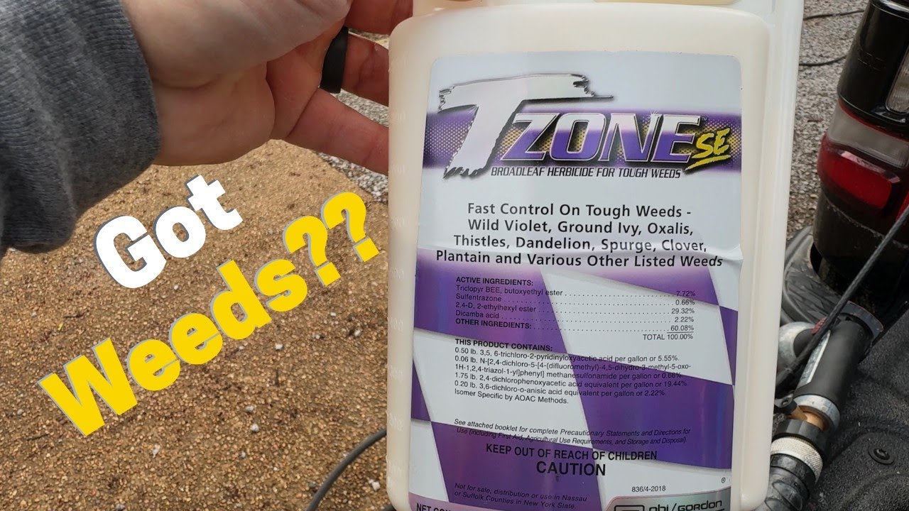 Got Weeds? Early Spring Weed Control! - YouTube