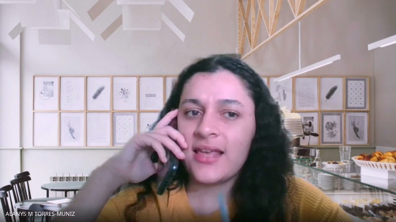 Business Phone Calls Evaluation with Alanys Torres - YouTube