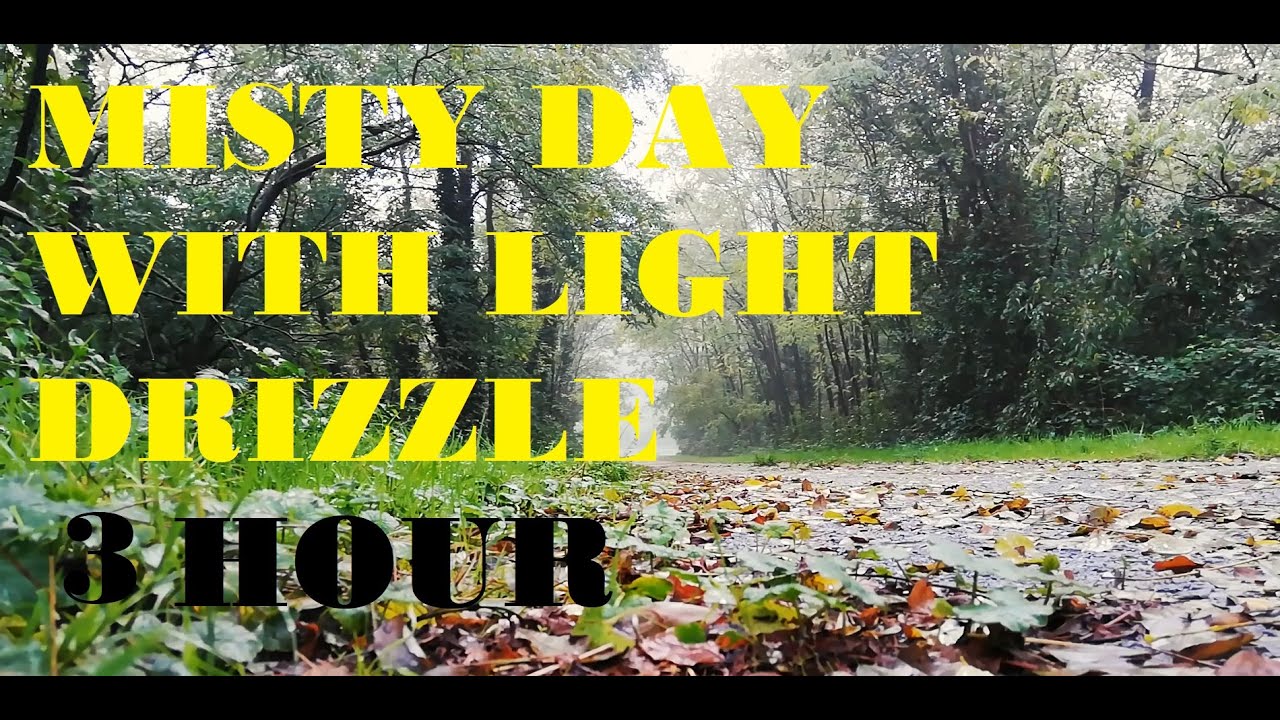 3 Hours Light Drizzle On A Misty Day, Calm & Peaceful Day, Relaxation ...