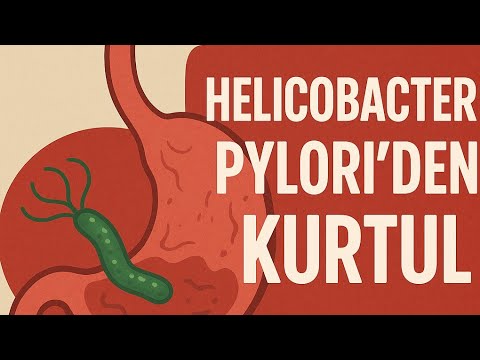 helicobacter pylori'den Nasıl Kurtuldum?