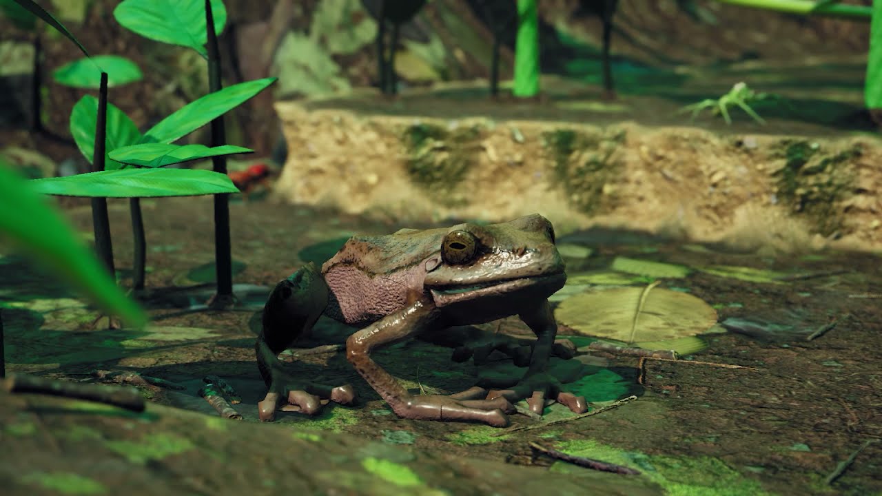 Pine Woods Tree Frog - YouTube