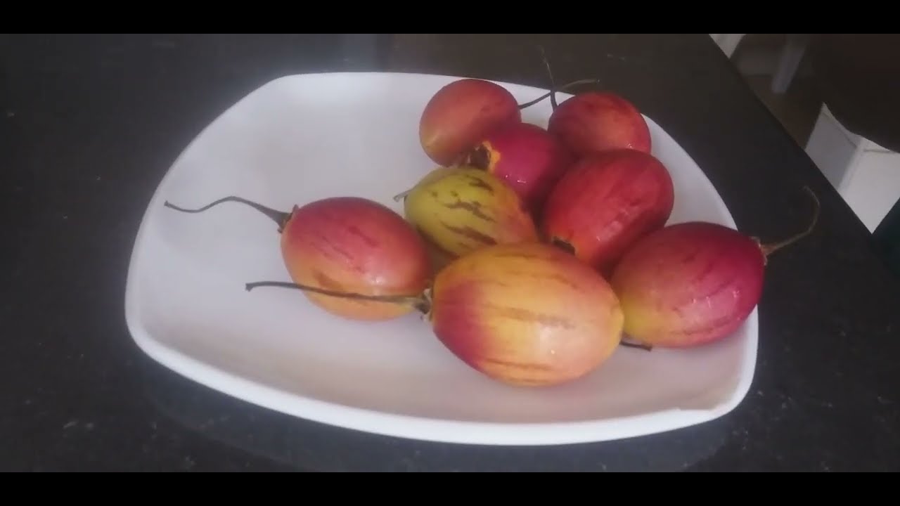 How to make tree tomatoes juice /health juice everyone should take ...