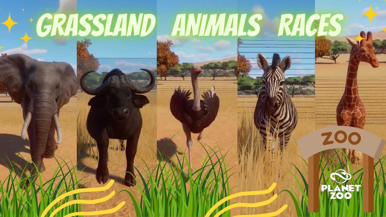 GRASSLAND ANIMALS SPEED RACES IN PLANET ZOO-ELEPHANT/BUFFALO/BULL/ZEBRA ...