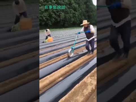 İlginç tarım uygulamaları....