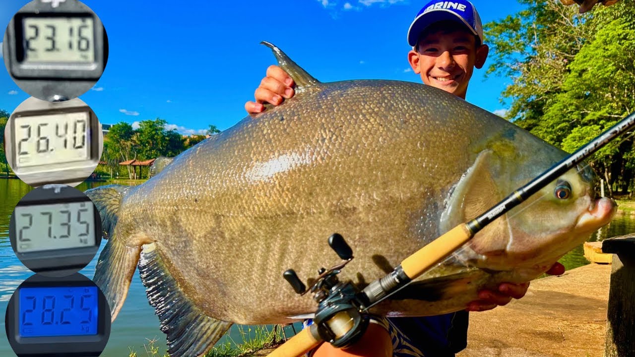 A META : PESCAR O PEIXE DE 40kg DO OLIVEIRA - YouTube