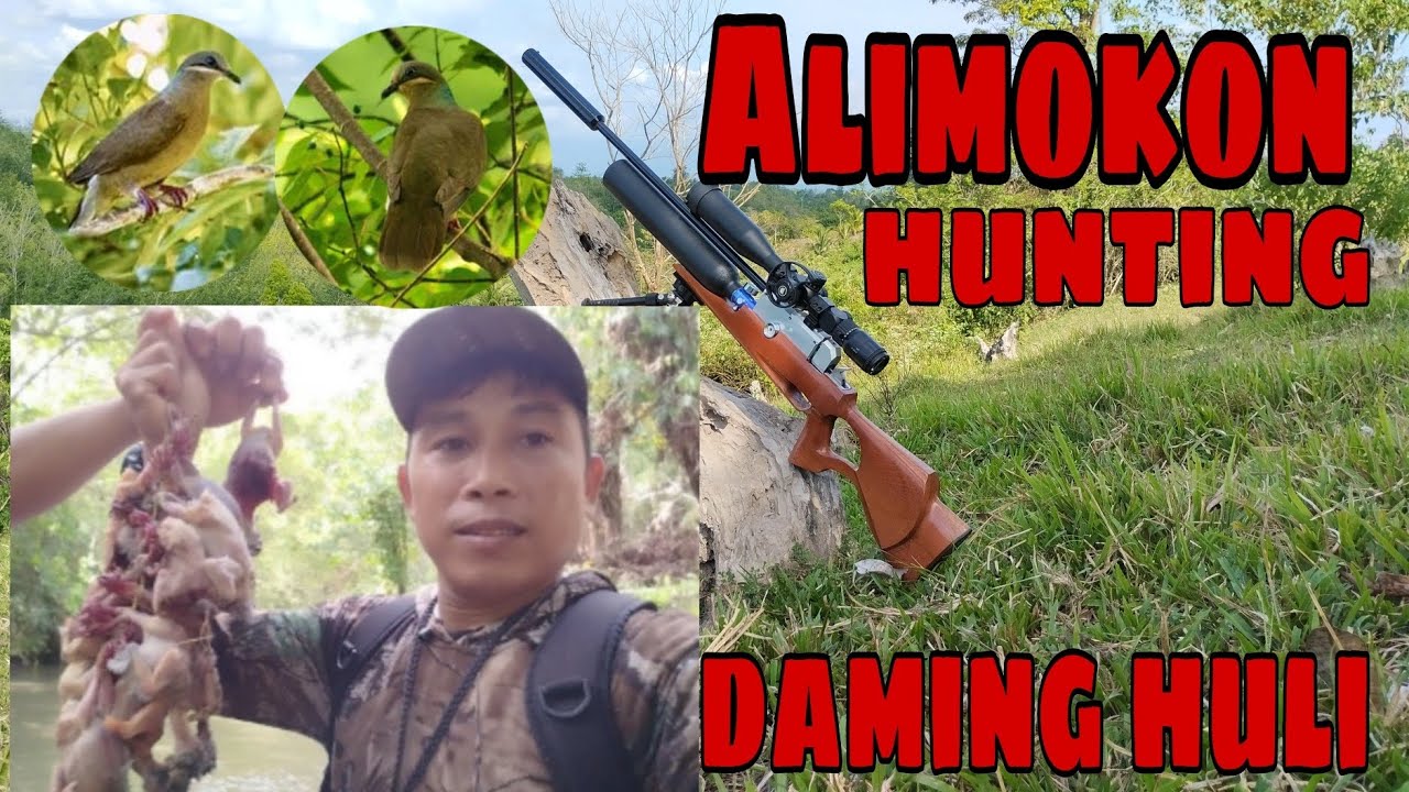 PCP HUNTING//Alimokon hunting kasama ang tropa..Daming huli..# ...