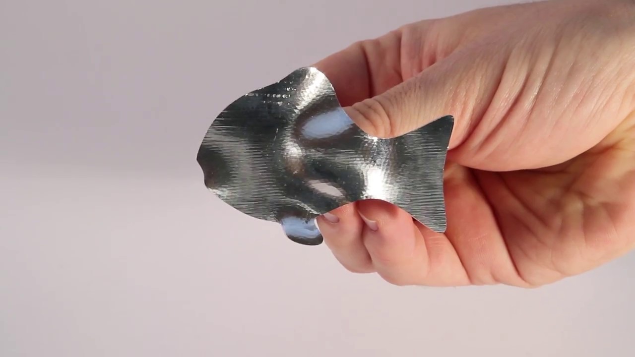 Who can find the fish that makes the best sound? - YouTube