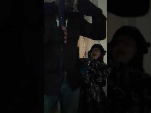 Mırt video
