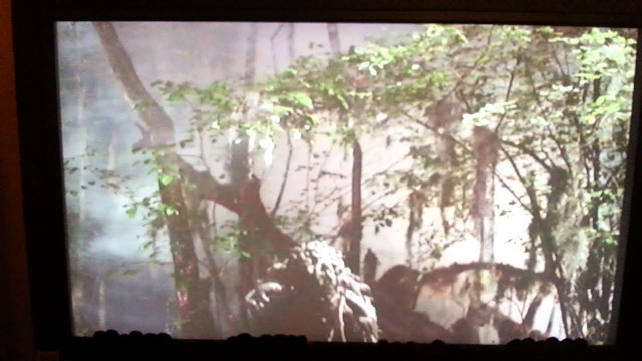The return of Swampthing: Swampthing vs The Leech - YouTube