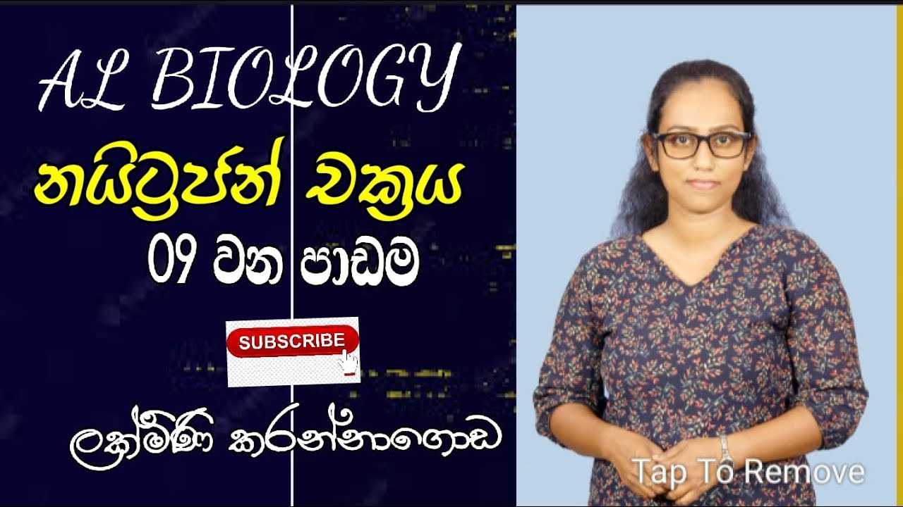නයිට්‍රජන් චක්‍රය | උසස් පෙළ ජීව විද්‍යාව | Lakmini Karannagoda - YouTube