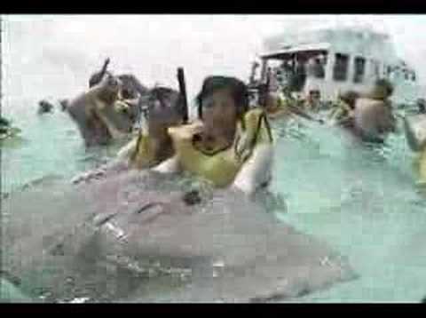 Kissing Stingray with May