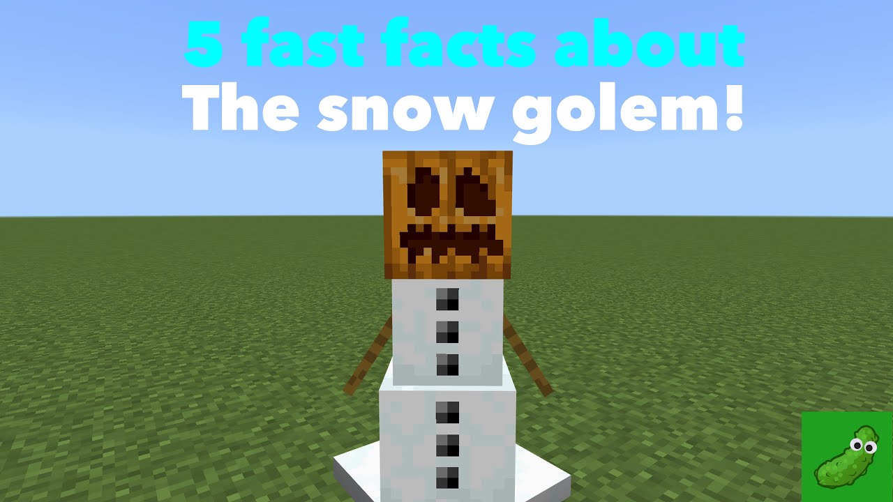 5 quick facts about the Snow Golem! - YouTube