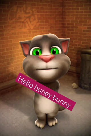Hello honey bunny #reelitfeelit_ #explore #virl - YouTube