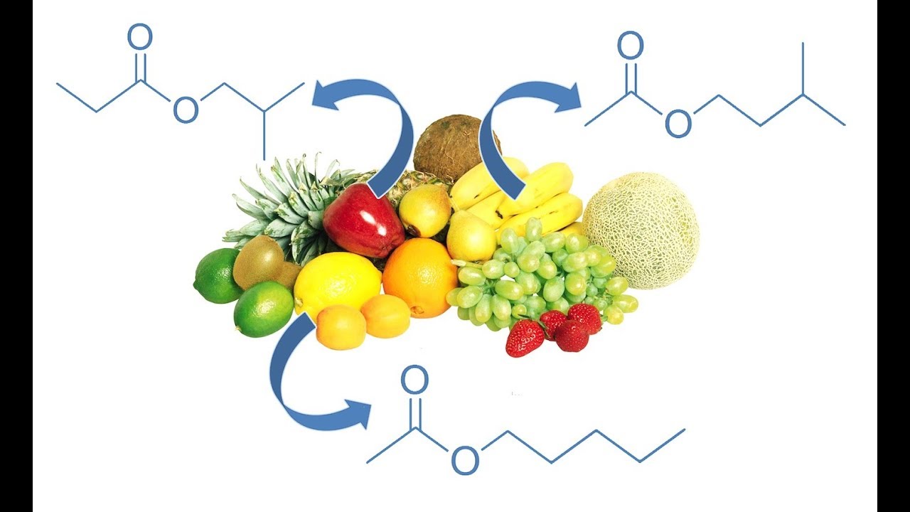 ÉTER E ÉSTER - YouTube