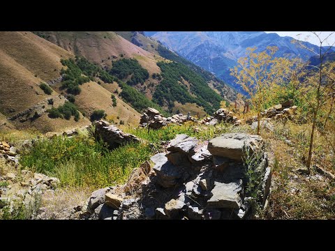 Kesis, Dersim de bir köy
