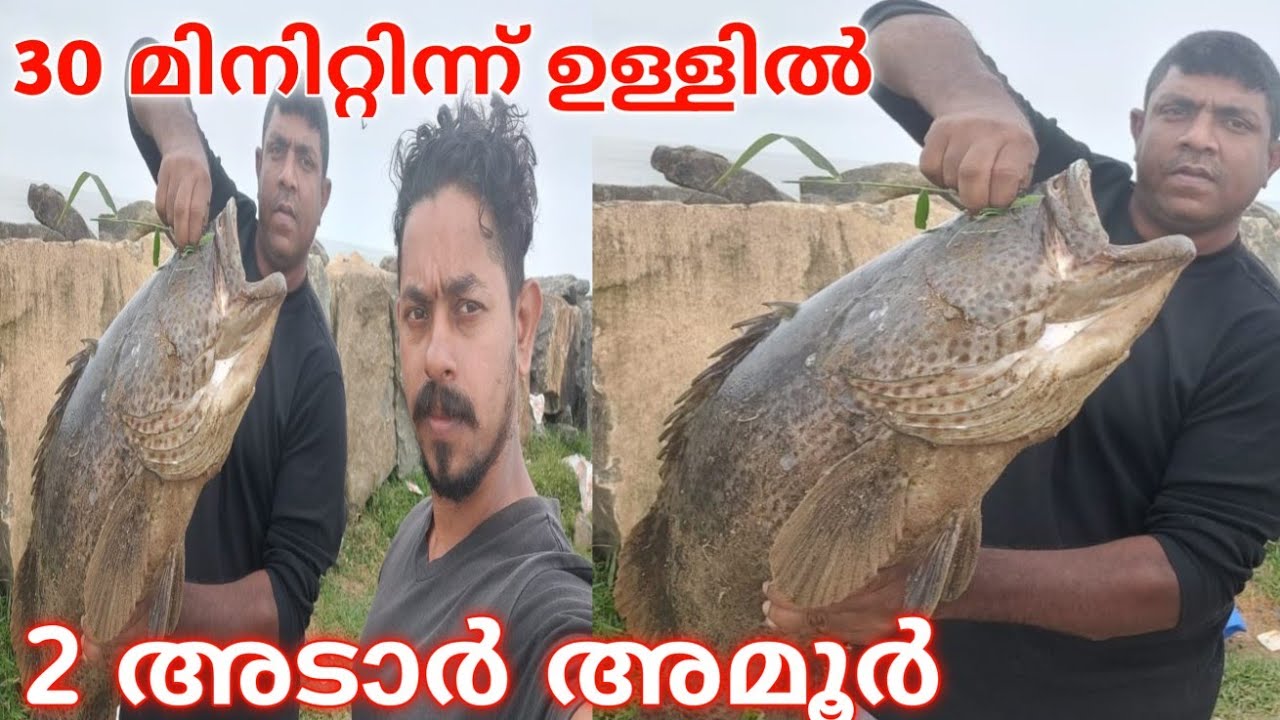 30 മിനിറ്റിന്ന് ഉള്ളിൽ 2 അടാർ അമൂർ/Amur fish malayalam/Amur fishing ...