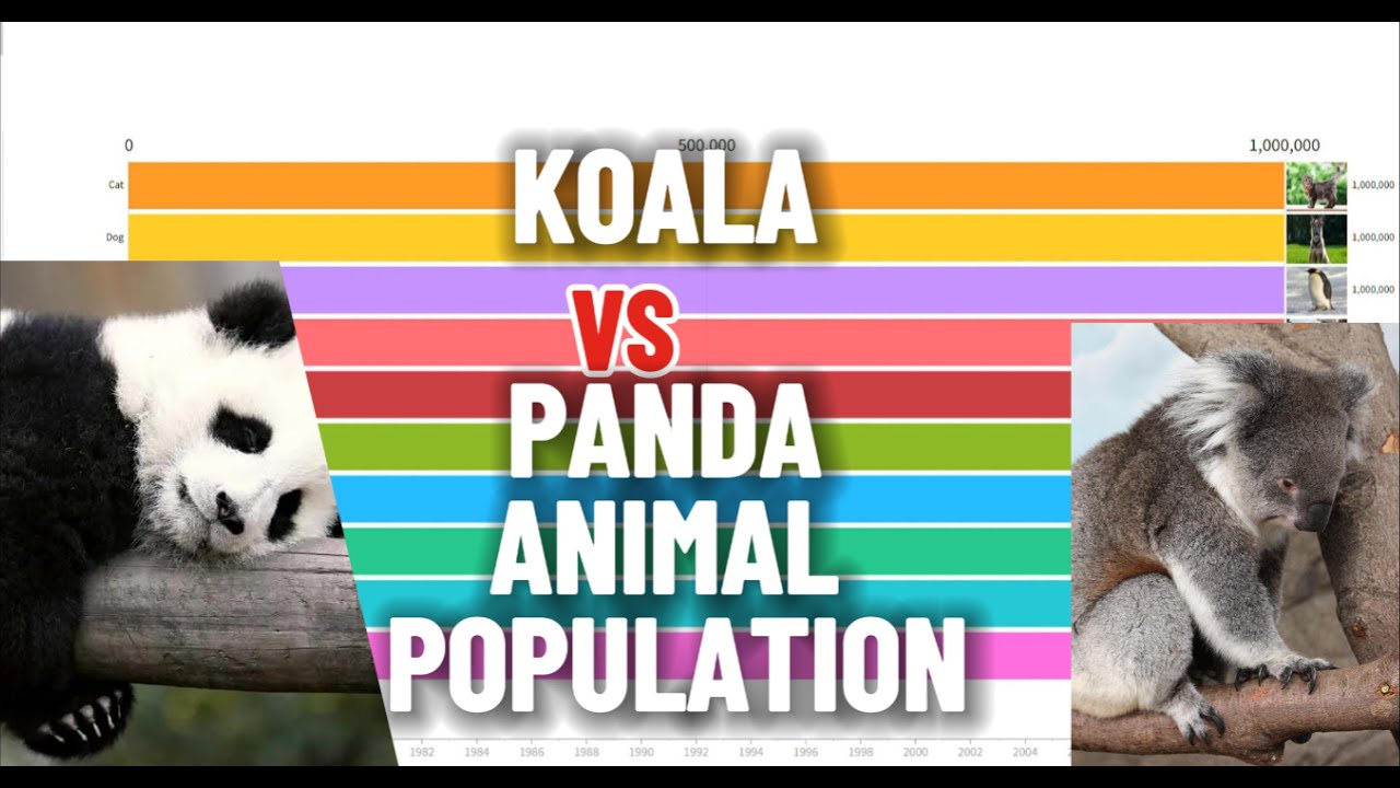 Animal Population Between 1970 and 2018 (Panda, polar bear, cat, dog ...