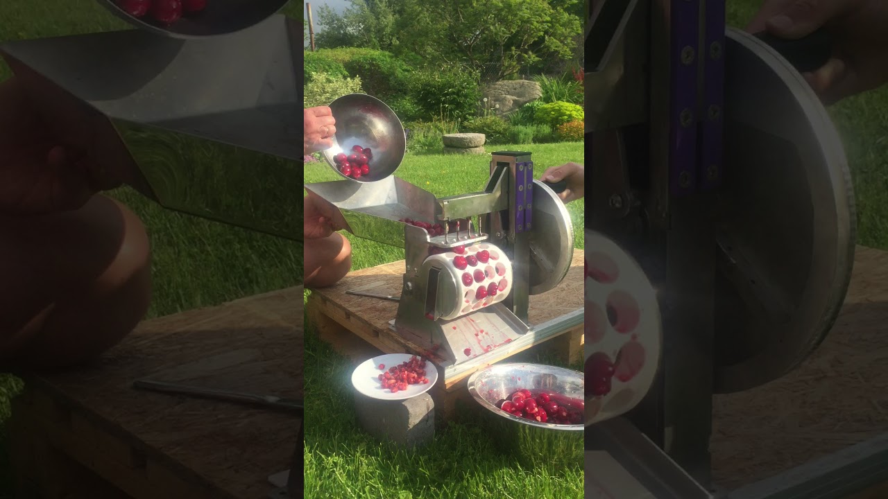 Manual / electric cherry pitting machine. Latvia - YouTube