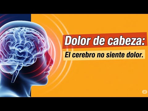 EL CEREBRO NO SIENTE DOLOR | ¿POR QUÉ DUELE LA CABEZA? - YouTube