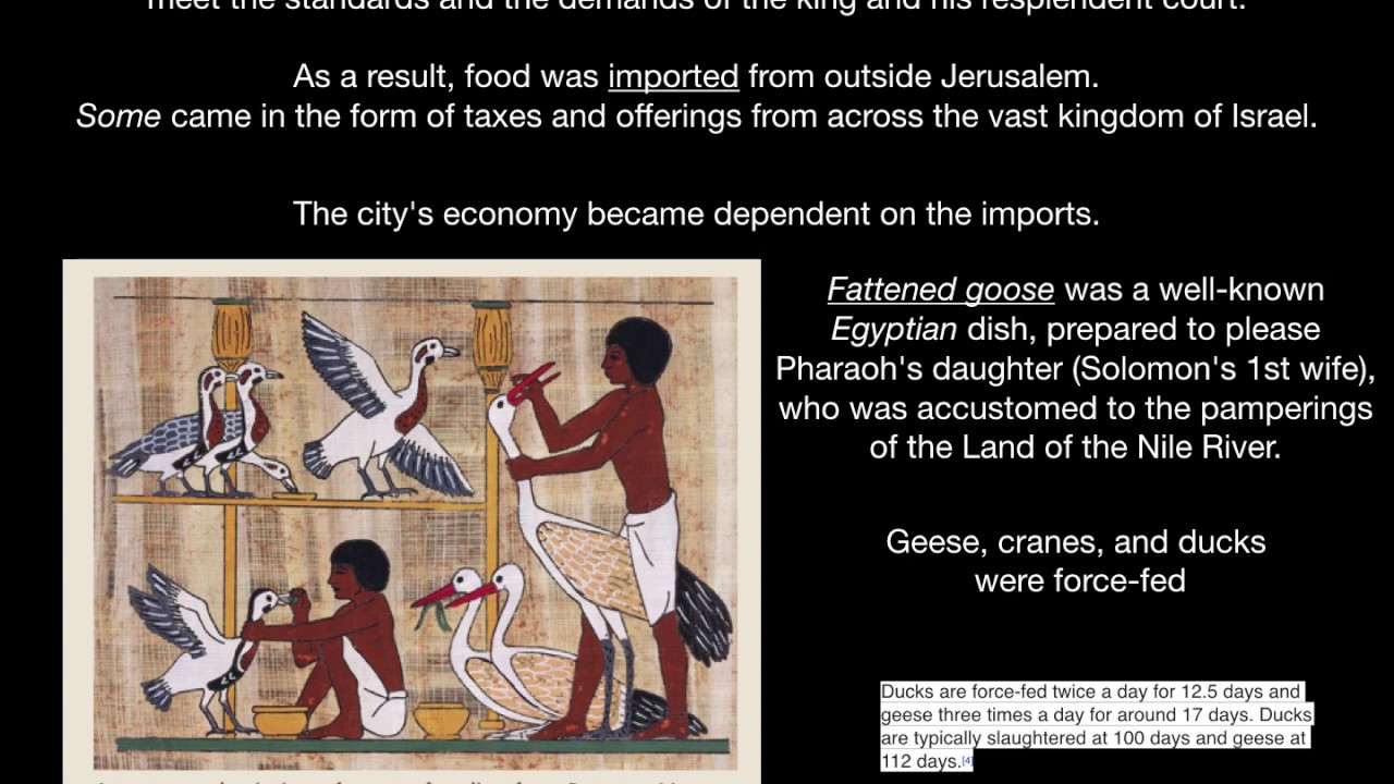 Solomon - The Golden Age of Israel - YouTube