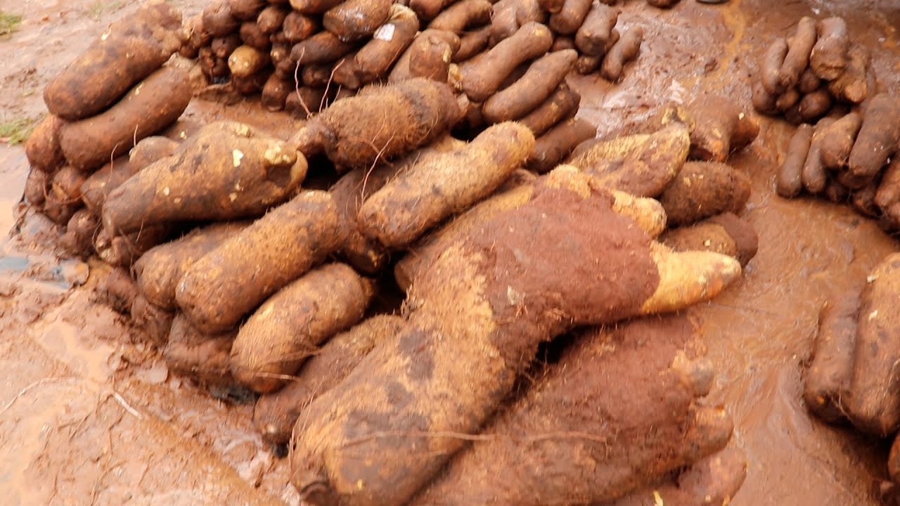 NEW VISIT TO POPULAR USELU MARKET IN BENIN CITY TRADERS SHARE NEW PRICE ...