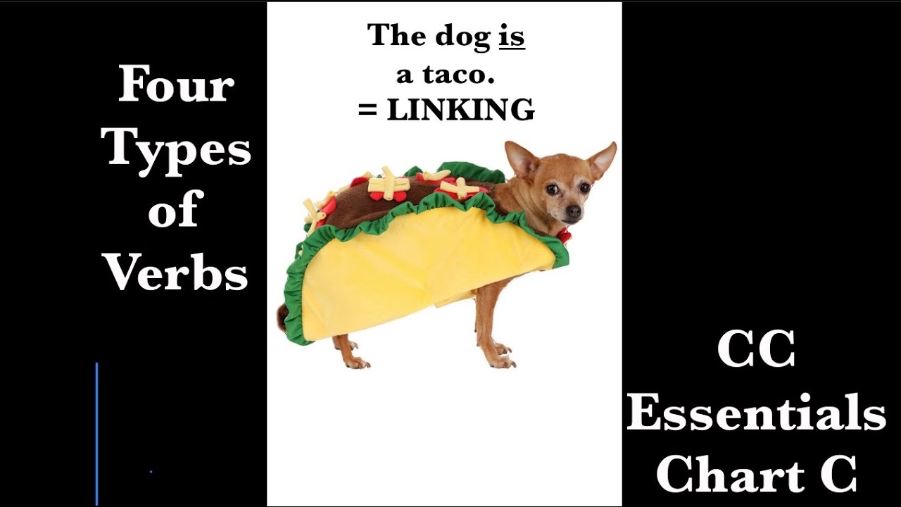 CC Essentials Chart C song - Four Types of Verbs #cc # ...