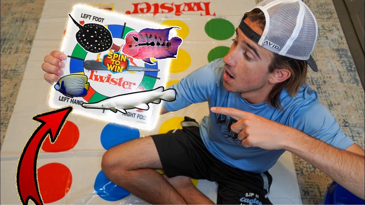 Spin the Twister Wheel & BUYING Anything It Lands On! *Challenge* - YouTube