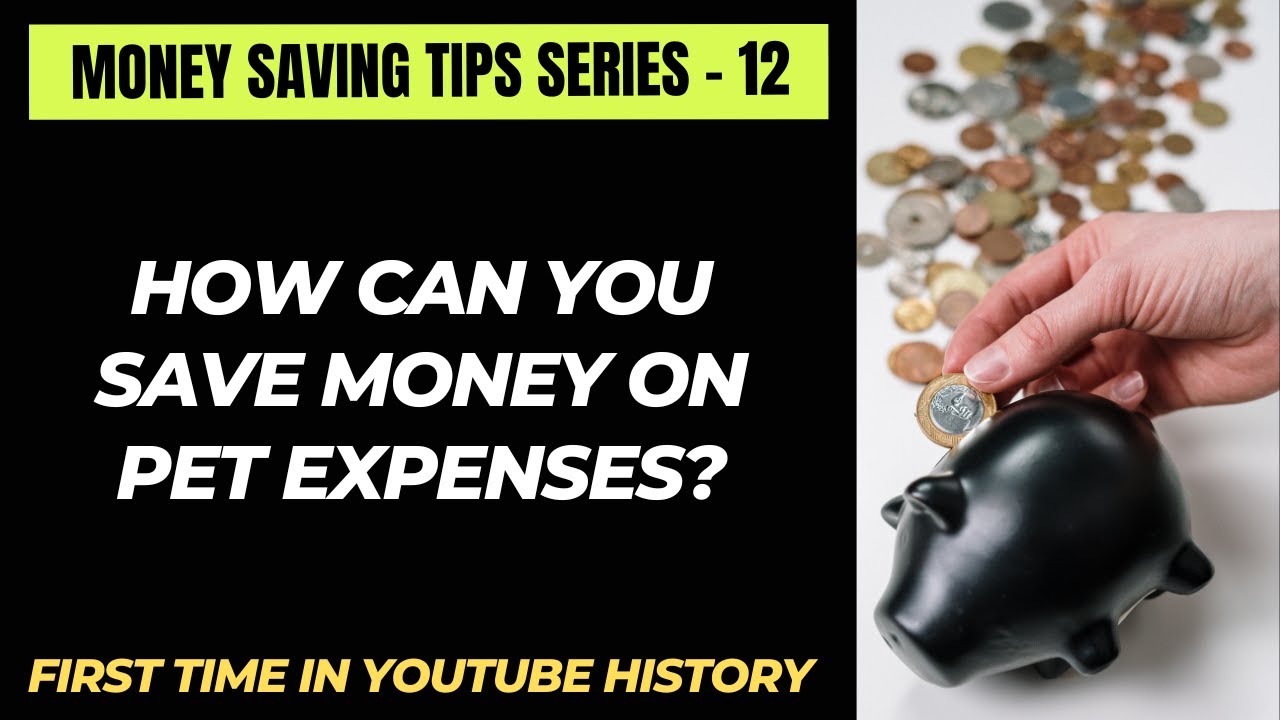 How can you save money on pet expenses? - YouTube