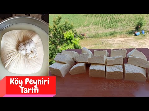 Doğal kolay inek sütünden orjinal köy peyniri nasıl yapılır [Salamura peynir tarifi]