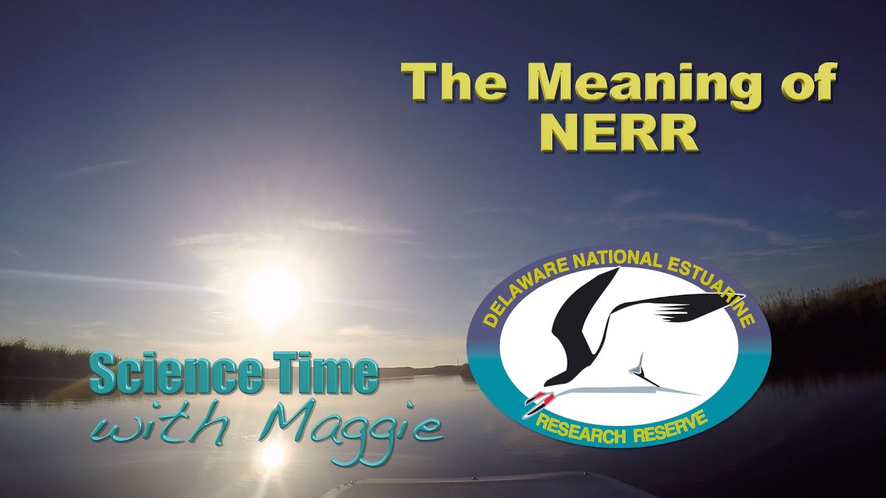Science Time with Maggie - The Meaning of NERR - YouTube