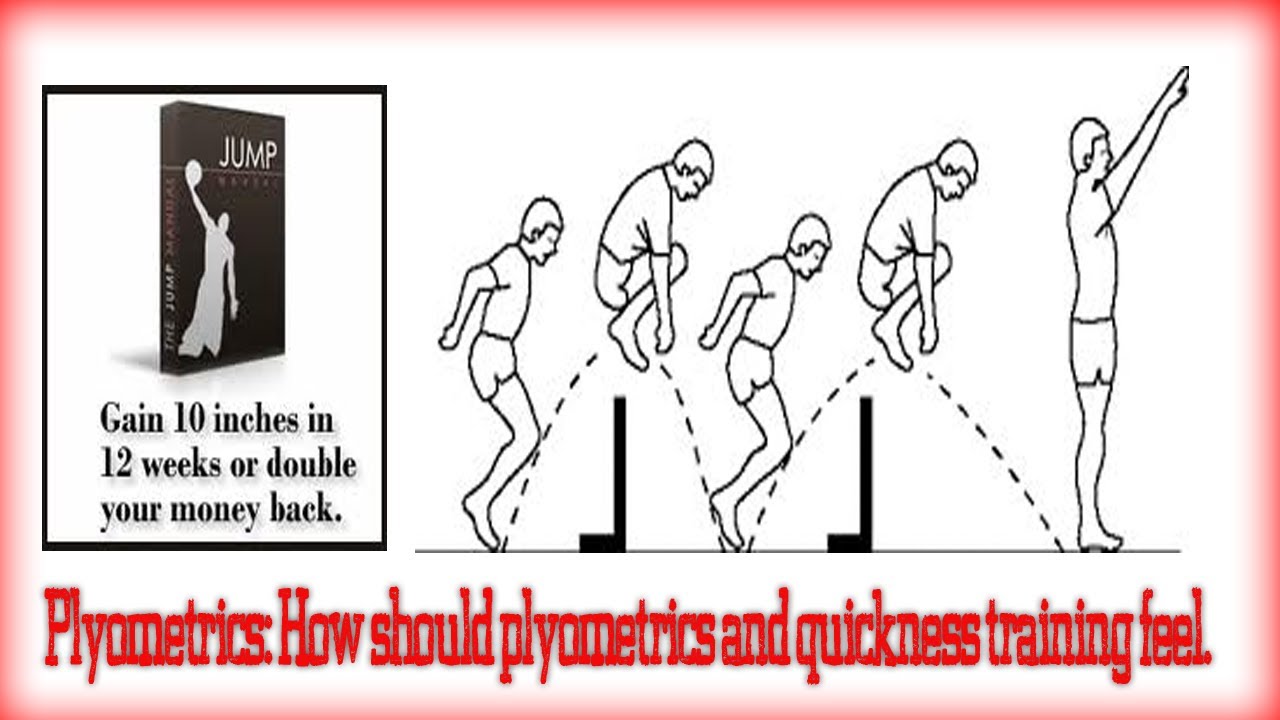 Plyometrics: How should plyometrics and quickness training feel. - YouTube