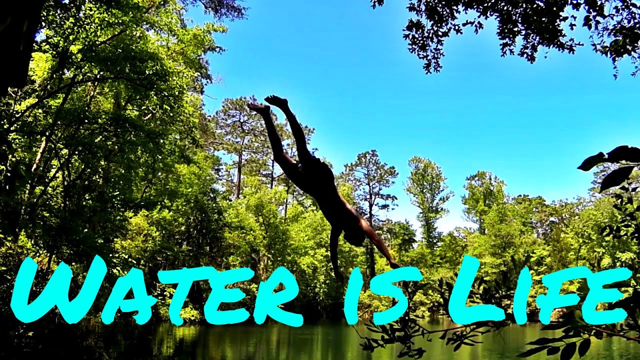 Cliff Diving in Florida??? | Primitive Tim does America ep. 3 - YouTube