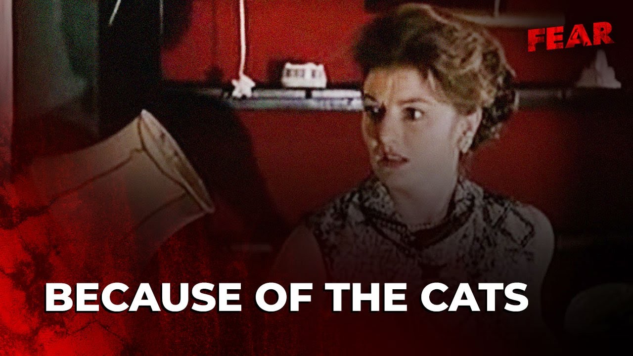 Because of the Cats - Officiële Trailer | FEAR - YouTube