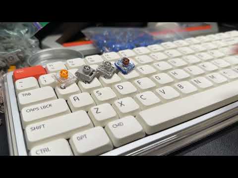 Kailh Sunlight Switch, Specter, Hades, and Deep Sea Whales (tactile) Comparison