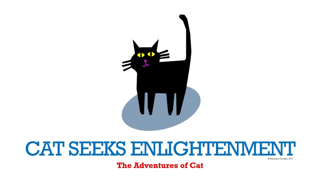 Cat Seeks Enlightenment, Nov. 7, 2017 - YouTube