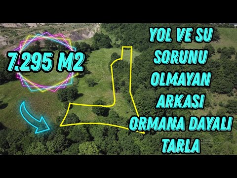 7.295 m2 Yol ve Su Sorunu Olmayan Arkası Ormana Dayalı Tarla