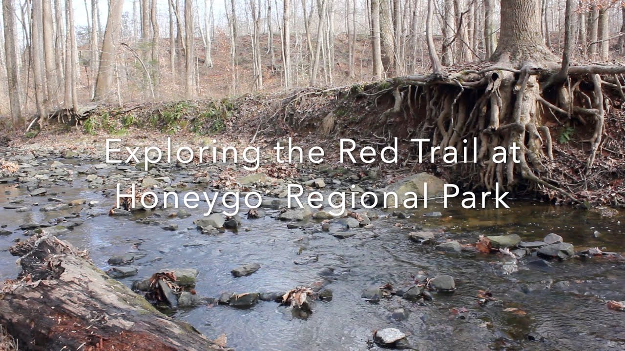 Exploring the Red Trail at the Honeygo Regional Park. - YouTube