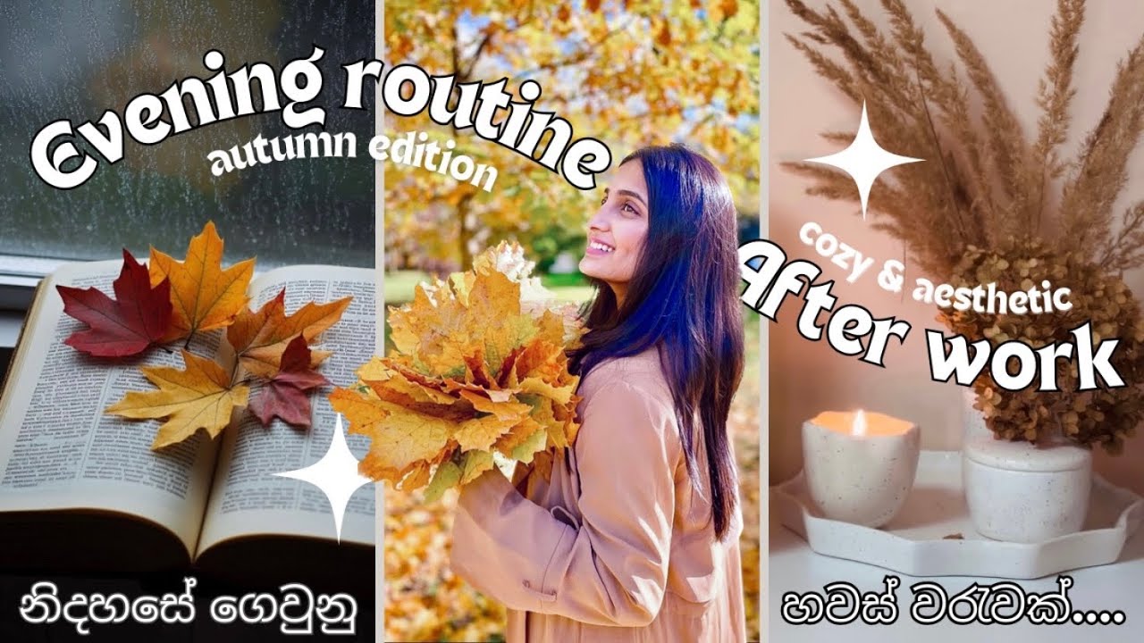 දවසක්දා හැන්දෑවක | after work EVENING ROUTINE | slow and cozy evening ...