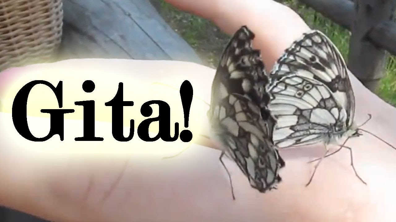 GITA! Da Vinigo (Vodo di Cadore) al villaggio Corte delle Dolomiti ...