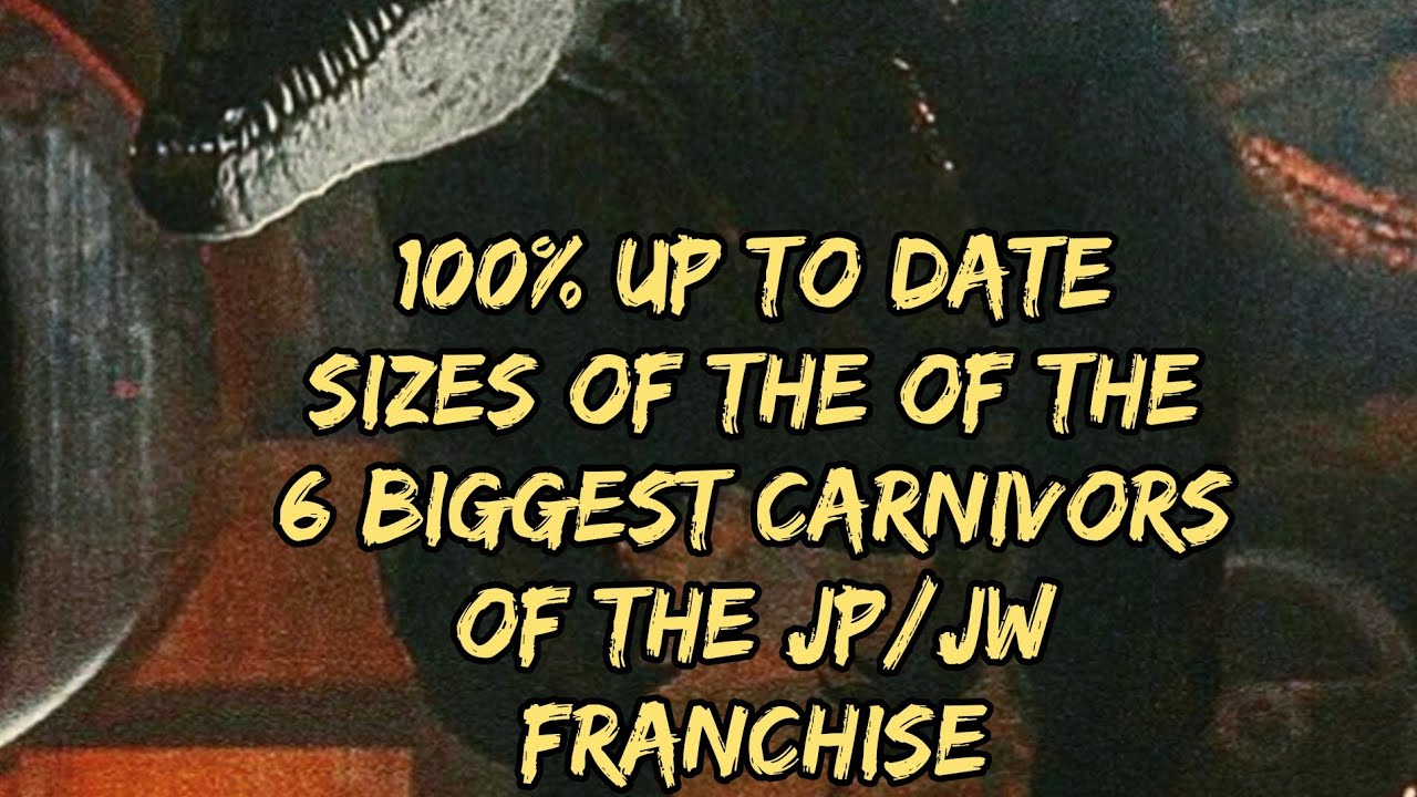 A accurate jp/jw size chart - YouTube