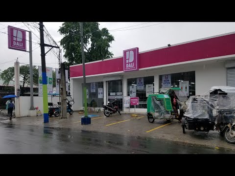 DALI EVERYDAY GROCERY - YouTube