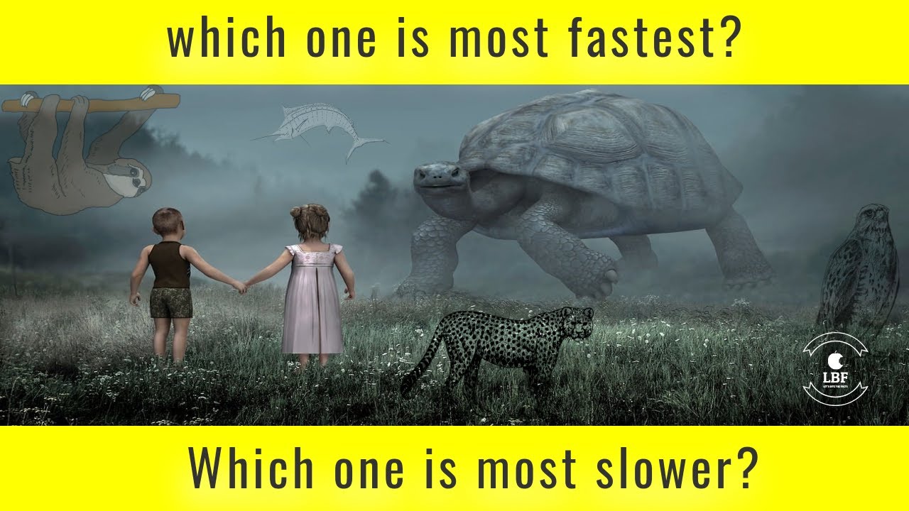 Fastest and Slowest Animals, Birds, Fish, and Reptiles in the World ...
