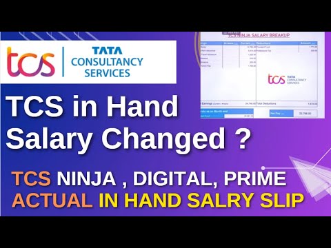 TCS Salary Slip Explained | In-Hand Salary Breakdown for Freshers ...