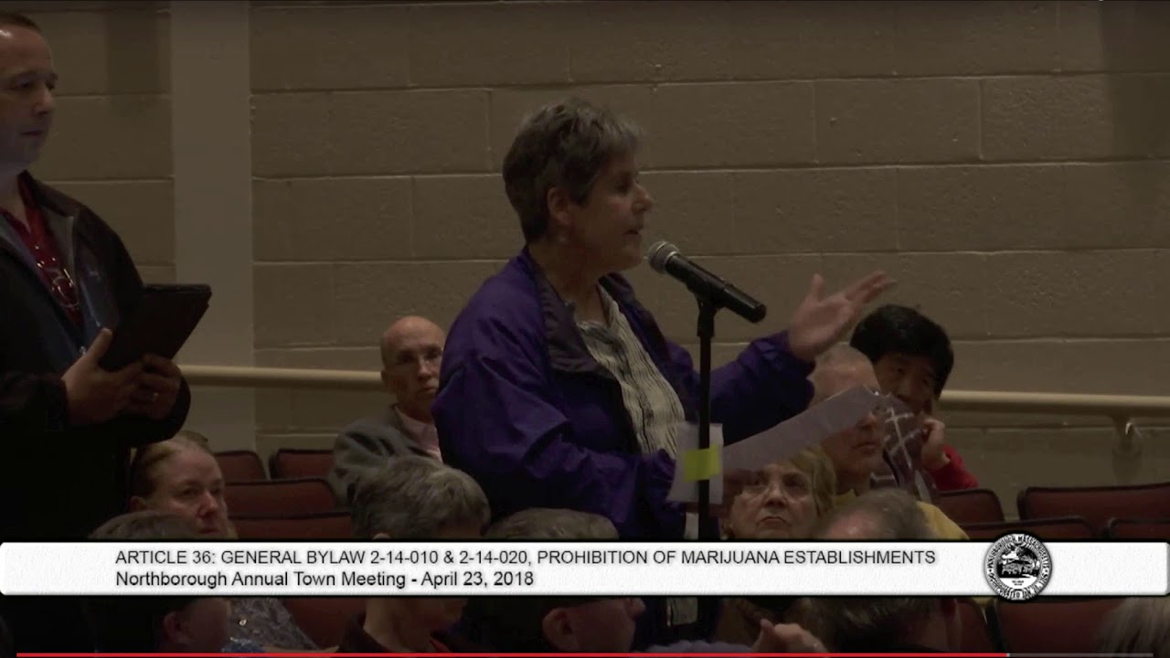 Leslie Harrison at 2018 Town Meeting - Opposing Opt-Out - YouTube