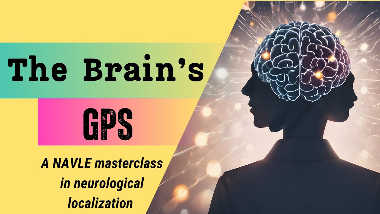 Brain Maps That Save Lives: Mastering Neurological Localization in dogs ...