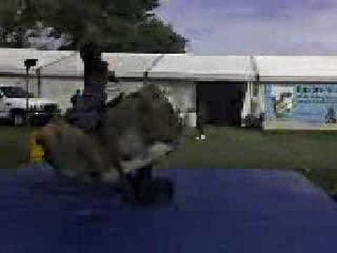 Kai on bull - YouTube